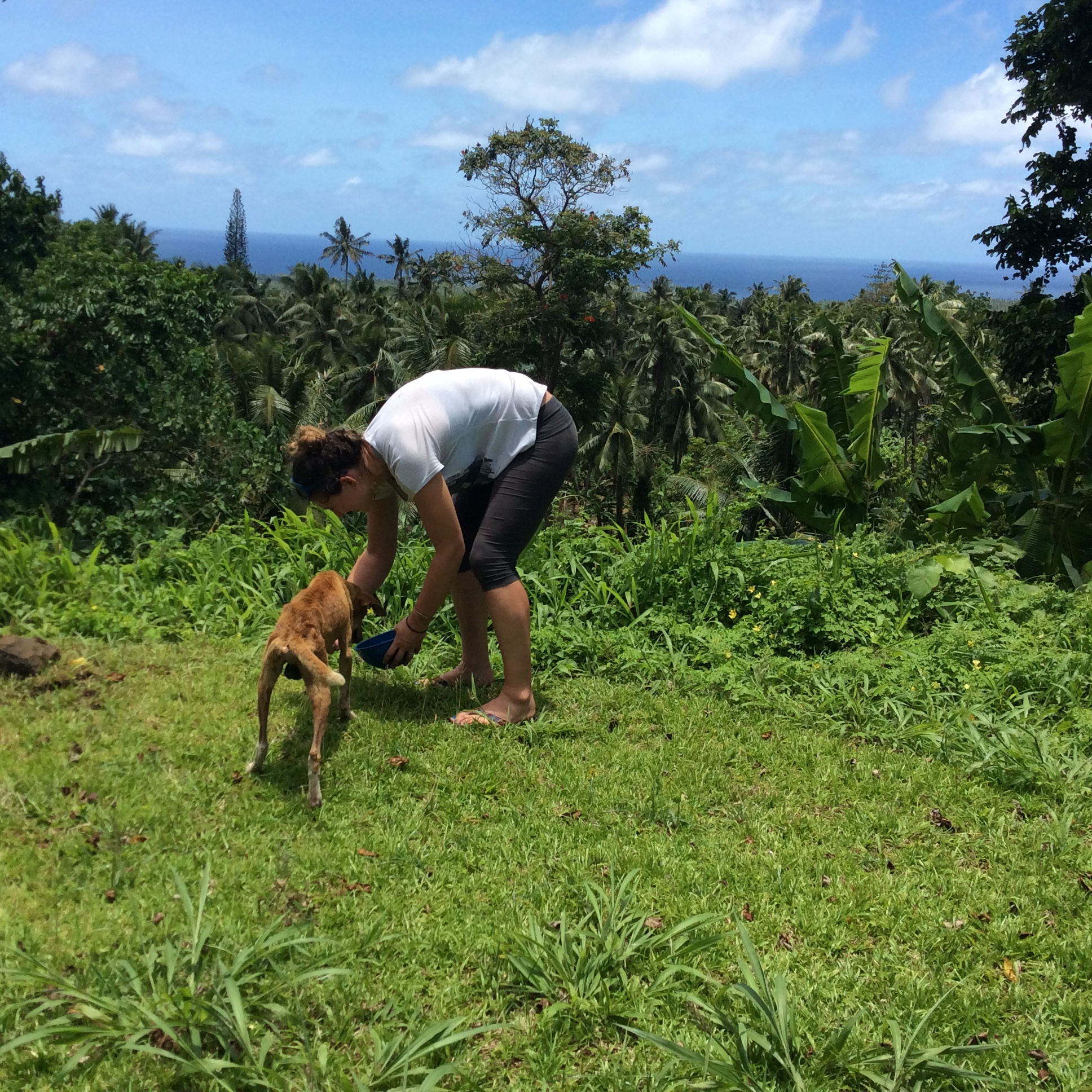 Jessica Sutherland – Board Member – Coconut Mutts